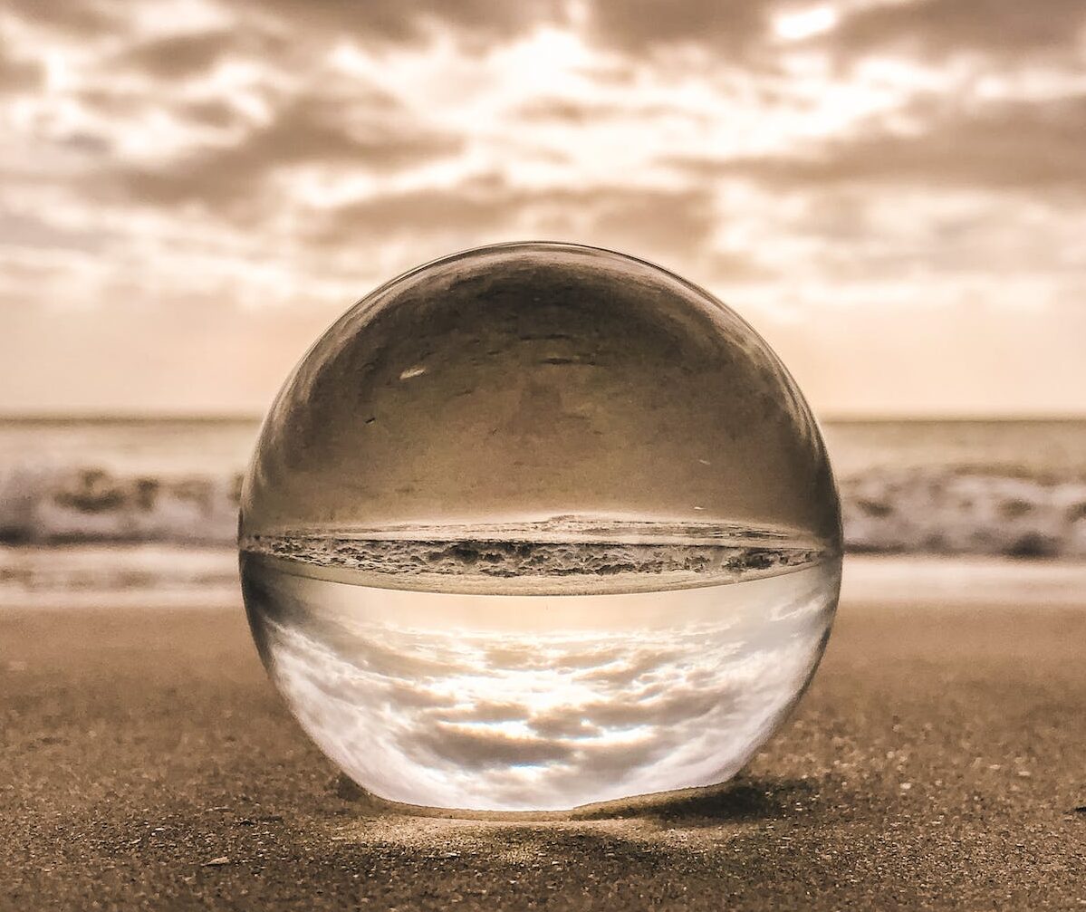 Reflected Light - The Bluebird Word